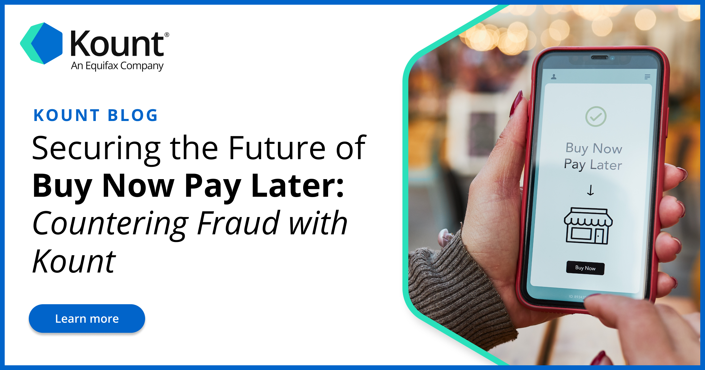 Securing the Future of Buy Now Pay Later: Countering Fraud